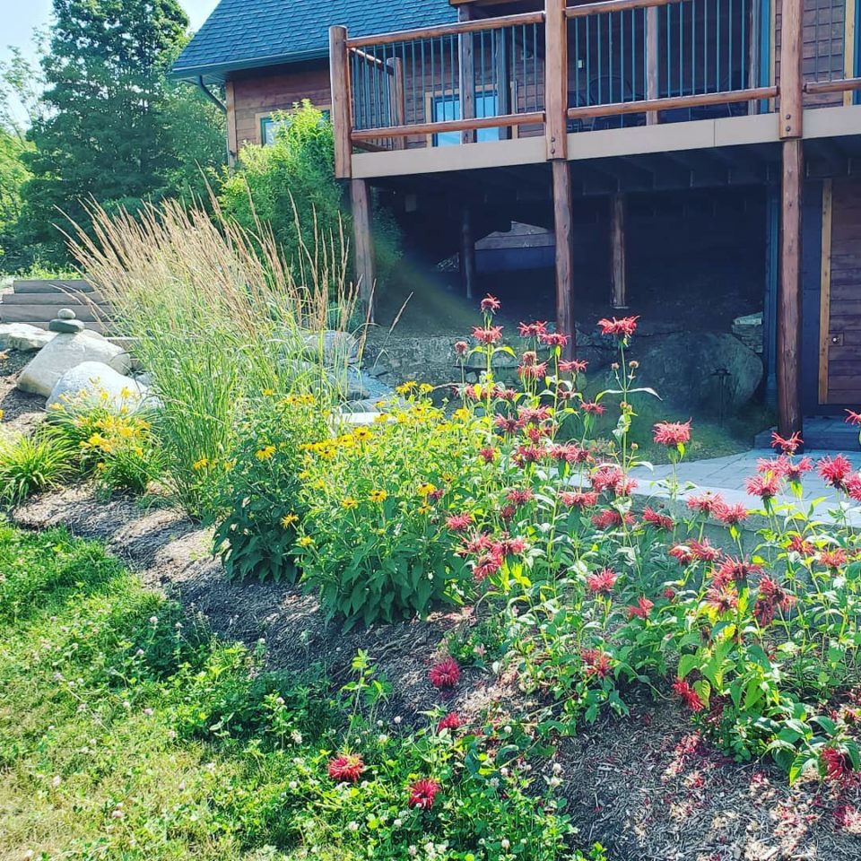 Our Blog - di Stefano Landscaping